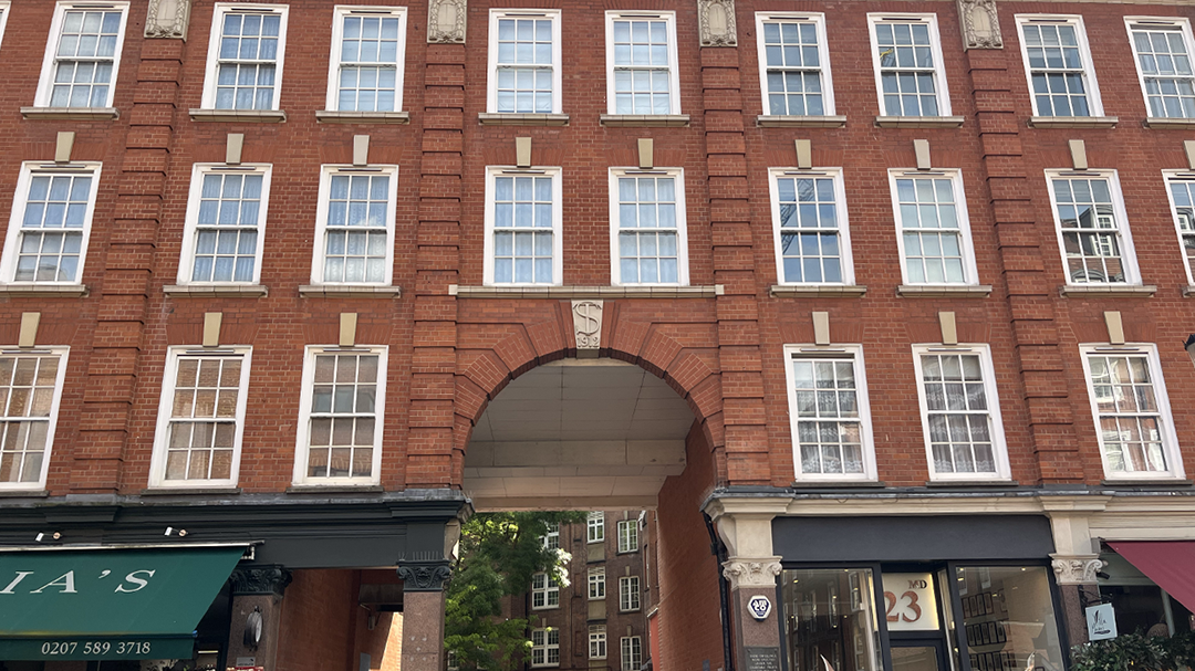 Chelsea Sutton - Sutton Chelsea E-O